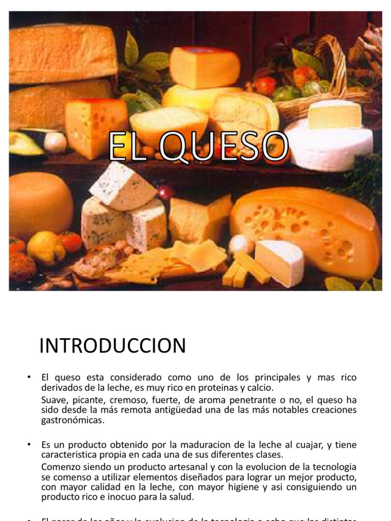 El Queso Diapositivas | PDF | Queso | Leche