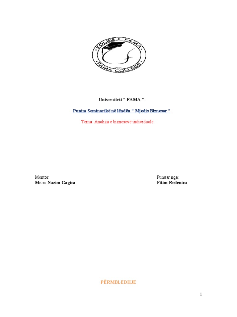 Biznesi Individual - Punim Seminarik. Fitimi | PDF