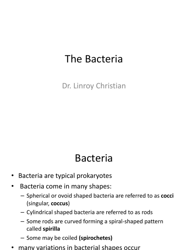 The Bacteria: Dr. Linroy Christian | PDF | Bacteria | Gram Positive ...