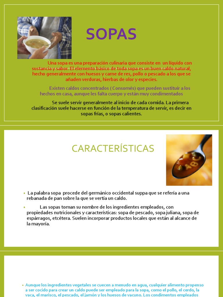 Clasificación y características de sopas | PDF