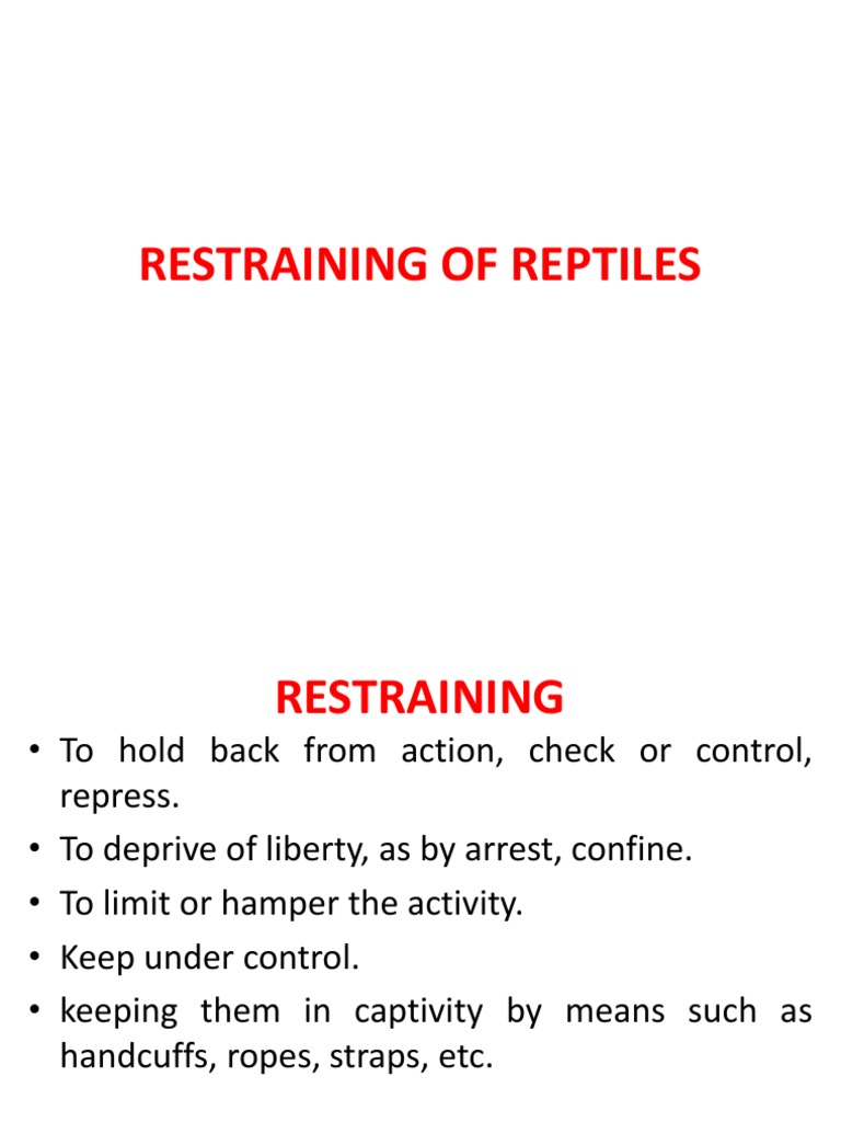 Restraining of Reptiles | PDF | Turtle | Snake
