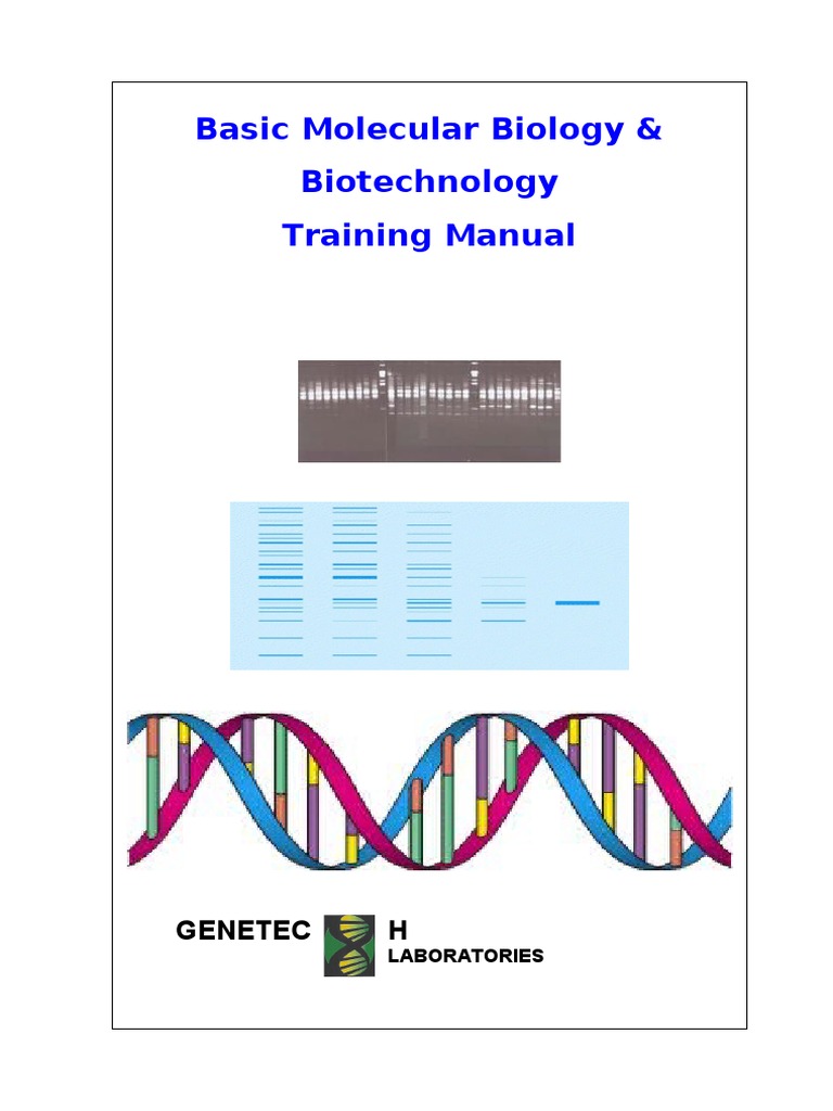 Molecular Biology & Biotech Guide | PDF | Gel Electrophoresis | Primer ...