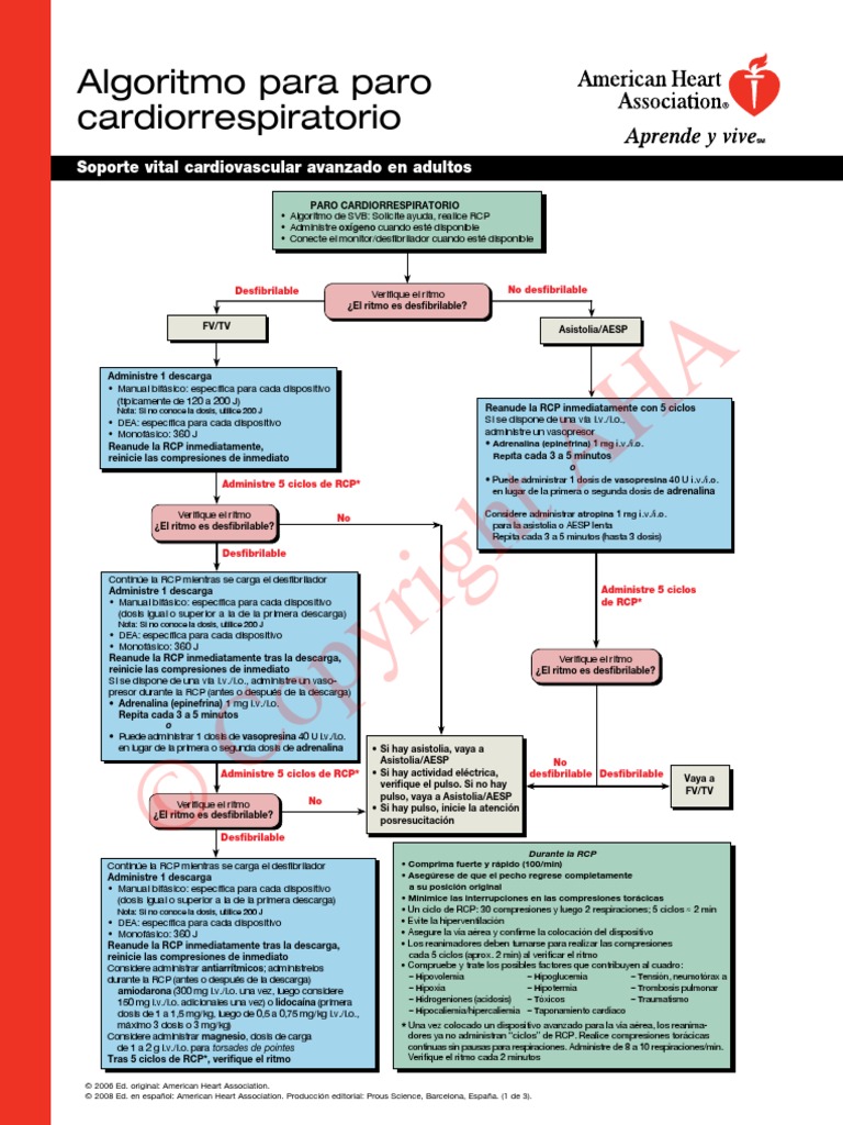 Algoritmos SVCA AHA 2005 | PDF | Reanimación cardiopulmonar | Arritmia ...