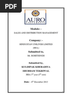 Hindustan Unilever Limited (HUL) Introduction | PDF | Unilever ...