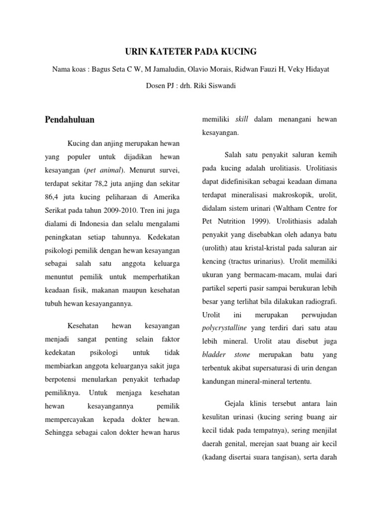 Urin Kateter Pada Kucing | PDF