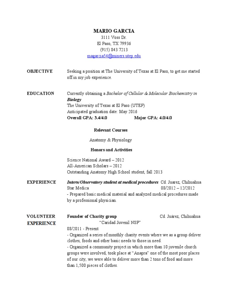 Mario Garcia Resume | PDF