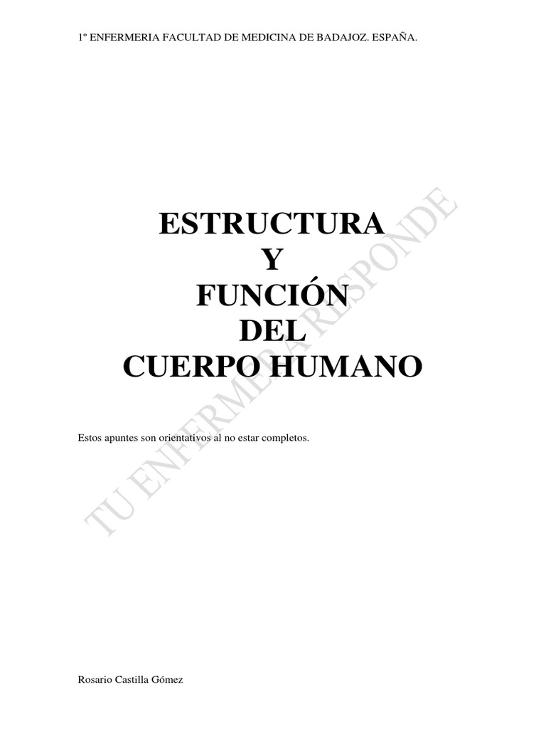 Apuntes+de+Anatom$C3$ADa+Del+Cuerpo+Humano | PDF