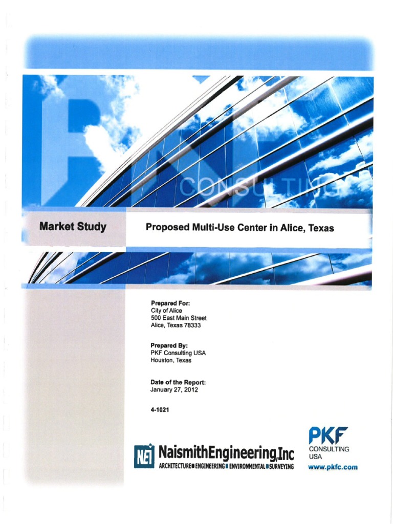 Market Study | PDF