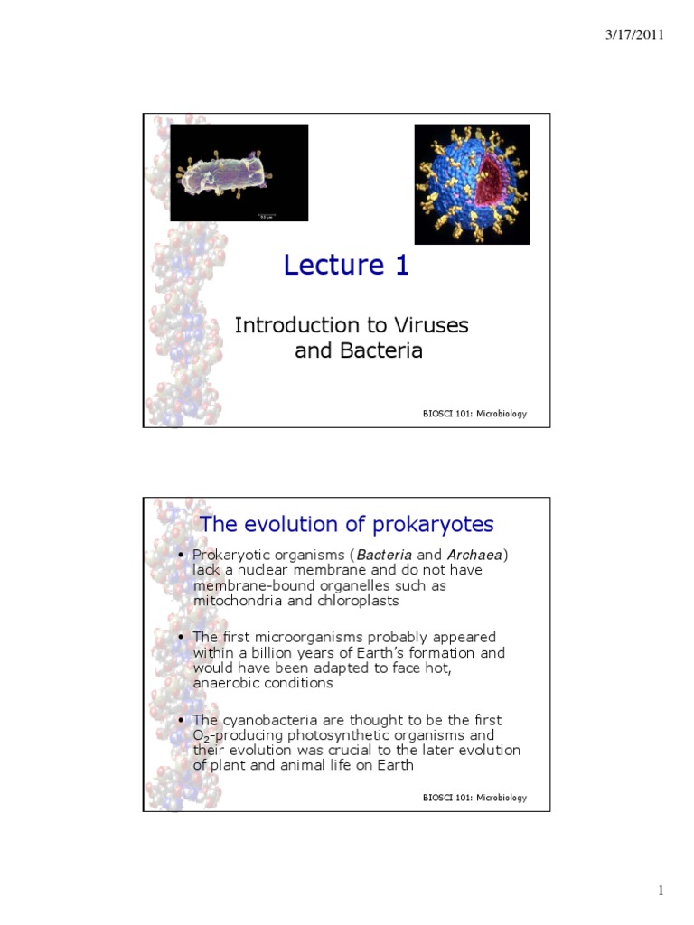 Introduction To Viruses Introduction To Viruses and Bacteria | PDF ...