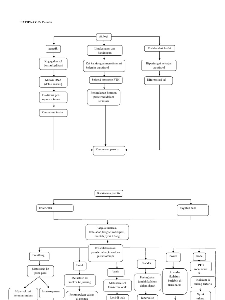pathaway ca tiroid.docx