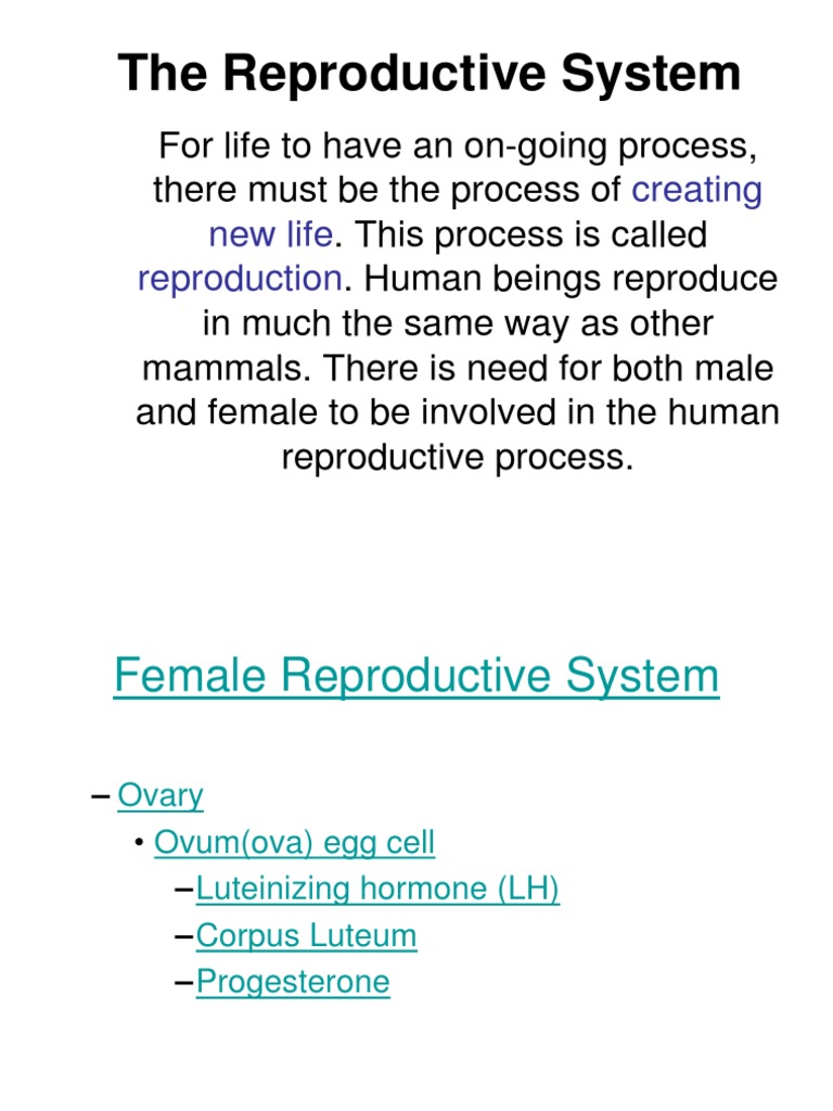 The Reproductive System: Creating New Life Reproduction | PDF ...