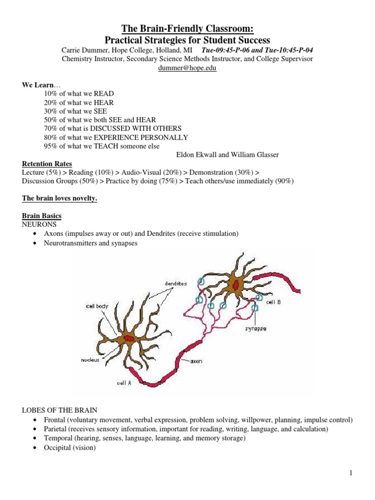 The Brain-Friendly Classroom: Practical Strategies For Student Success ...
