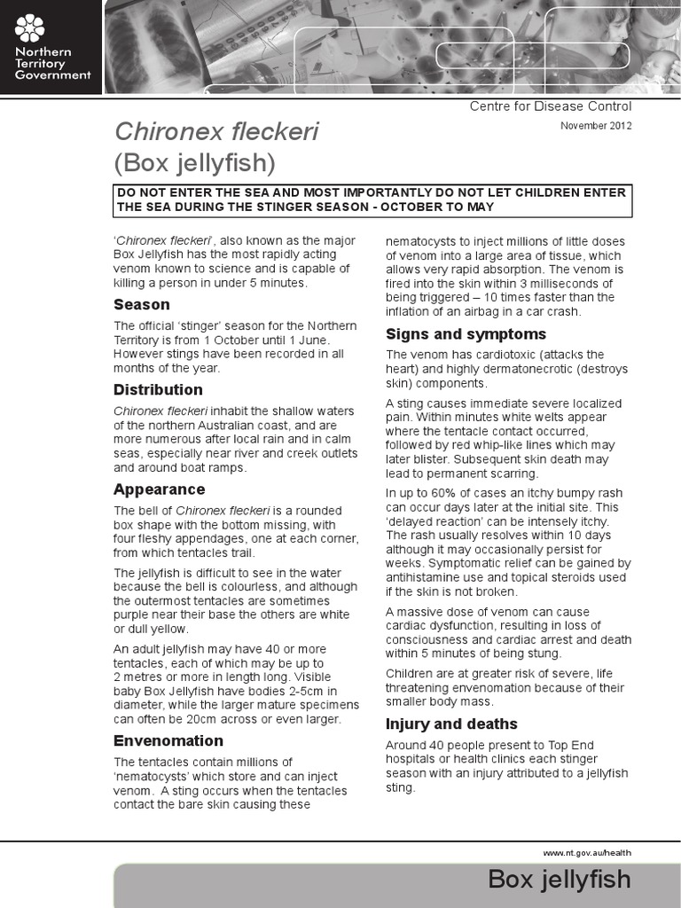Chironex Fleckeri (Box Jellyfish) | PDF | Clinical Medicine | Medical ...