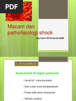Code Stroke Algorithm | PDF | Stroke | Epidemiology
