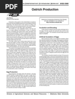 CORE Back Tool | PDF | Low Back Pain | Back Pain