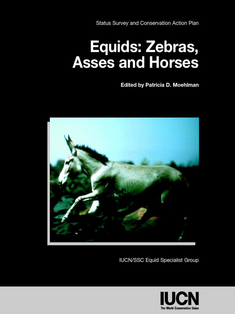 Equids Zebras, Asses and Horses - IUCN | PDF | Equus (Genus ...
