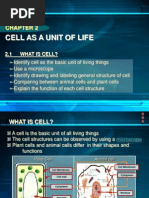 Science Form 1 - Chapter 3 | PDF | Density | Buoyancy