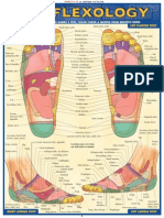 Foot Reflexology Chart Overview | PDF | Abdomen | Lymphatic System