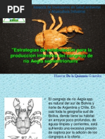 Aparato Renal Del Pollo | PDF | Riñón | Sistema urinario