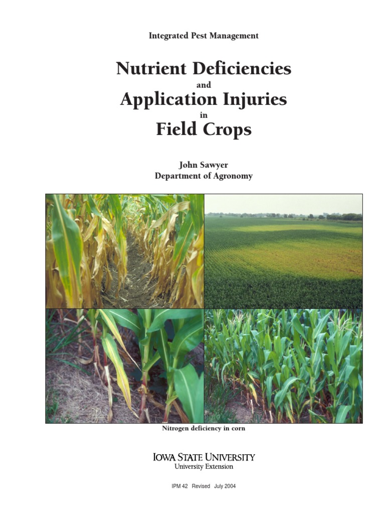 Nutrient Deficiencies and Application Injuries in Field Crops: A ...