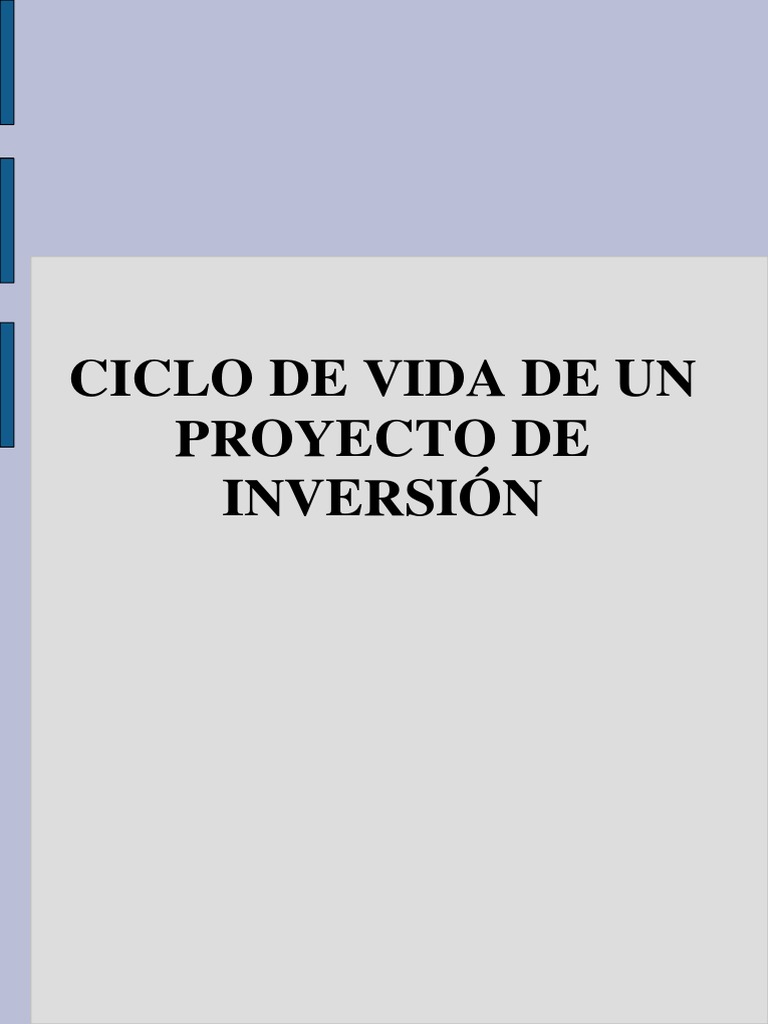 Ciclo De Vida De Un Proyecto De Inversion Pdf Pdf Proceso De