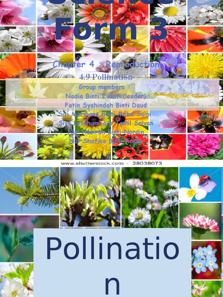 Pollination | Pollination | Flowers