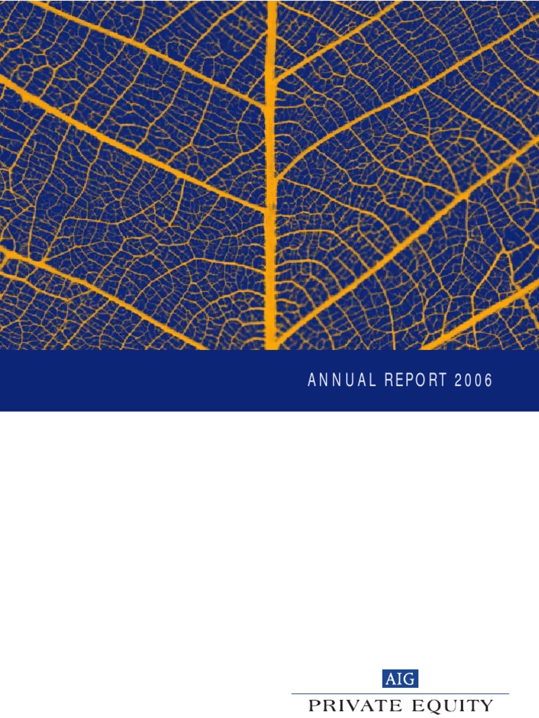 AIG Private Equity Ltd. 2006 Annual Report | PDF | Private Equity ...