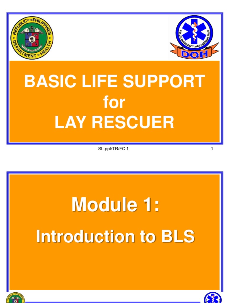 Basic Life Support | PDF | Cardiopulmonary Resuscitation | Cardiac Arrest
