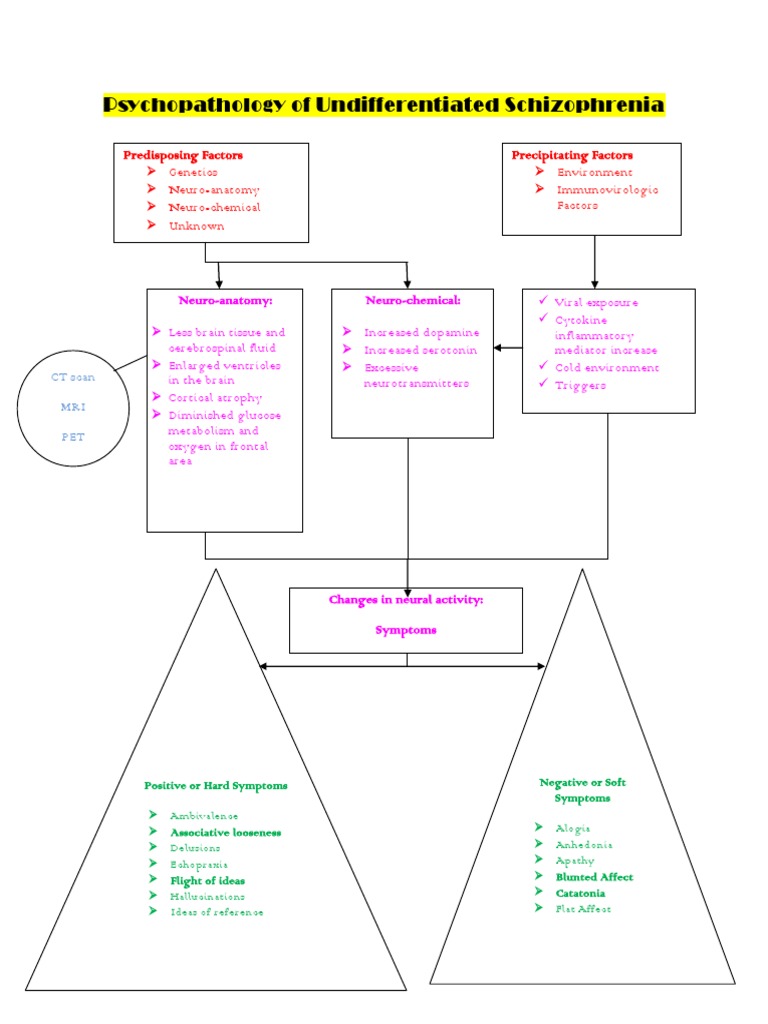 Psychopathology of Undifferentiated Schizophrenia | PDF | Schizophrenia ...