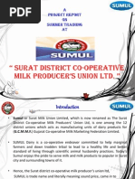Sumul Dairy | PDF | Dairy | Milk