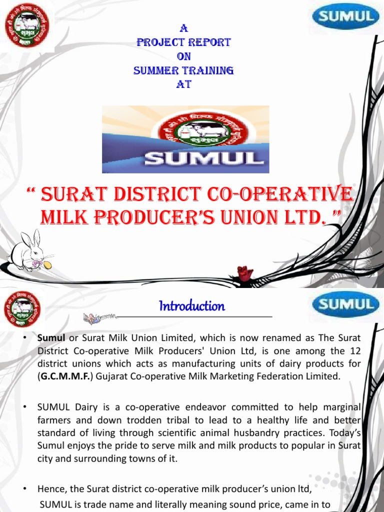 Sumul 090909030314 Phpapp01 | PDF | Dairy | Milk