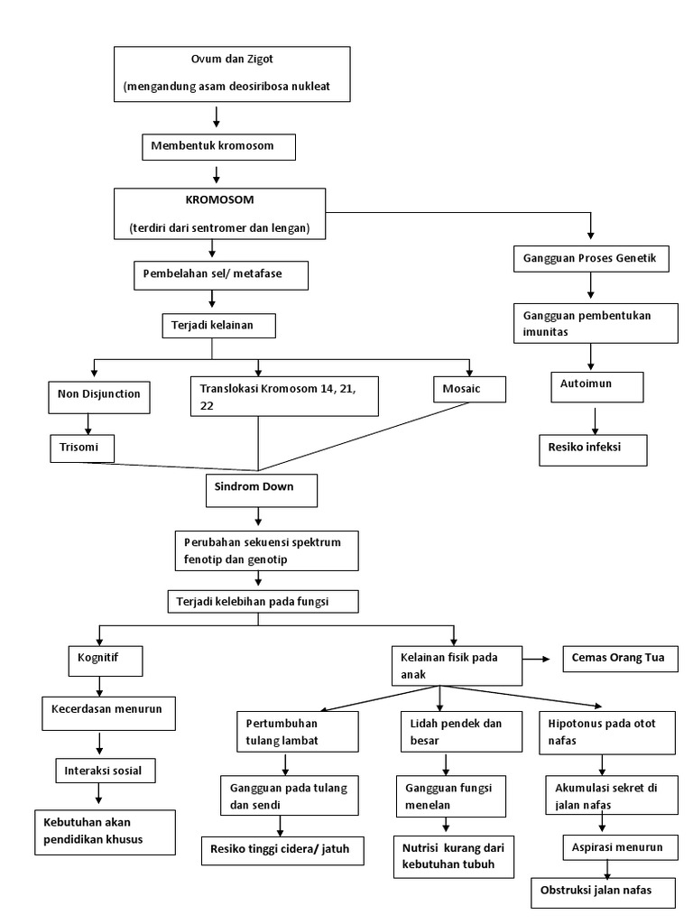 Pathway Sindrom Down