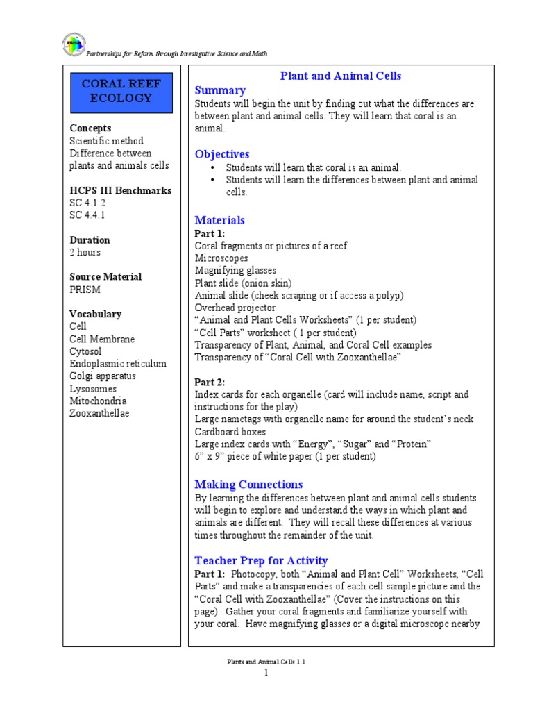 Panda Cells | PDF | Cytoplasm | Cell (Biology)