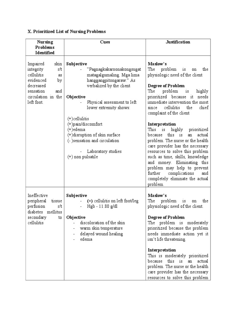 X. Problem Prioritization | PDF | Nursing | Health Care