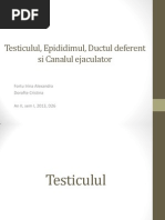 Nanism Hipofizar Si Tiroidian | PDF