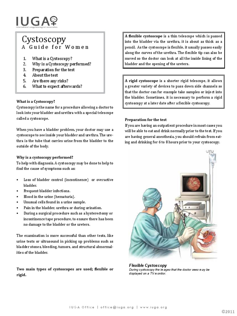 Cystoscopy: A Guide For Women | PDF | Surgical Specialties | Medical ...