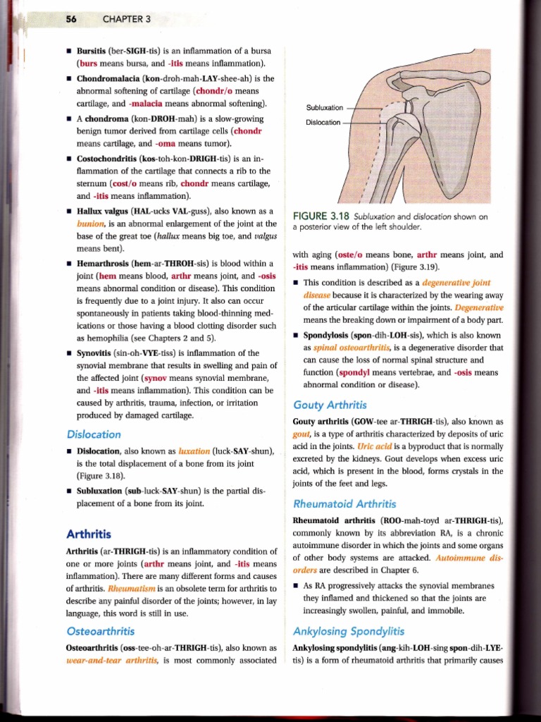MTCH 3 PG 56 | PDF | Joint | Arthritis