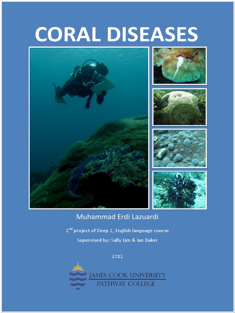 Coral Diseases: Muhammad Erdi Lazuardi | PDF | Coral | Coral Reef