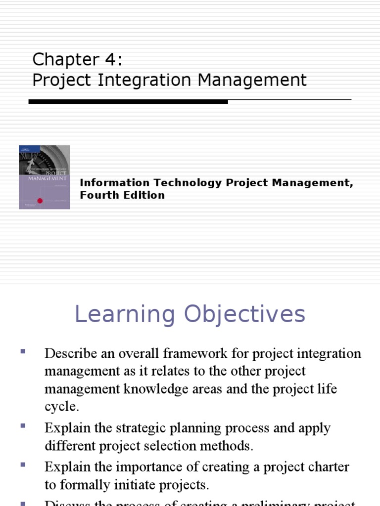 Data Processing And Analysis Guide Pdf Net Present Value Project