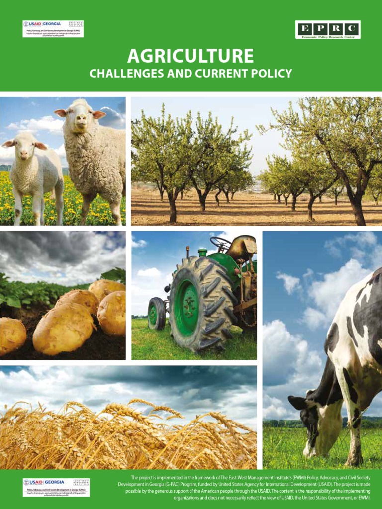 Agriculture - Challenges and Current Policy | PDF | Georgia (Country ...