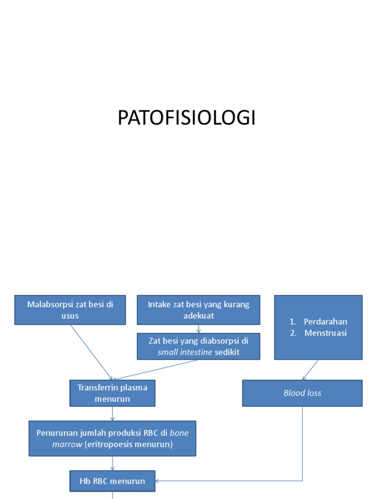 Patofisiologi Anemia Defisiensi Besi | PDF