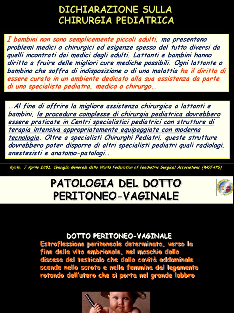 Canale Inguinale | PDF