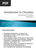 Phylum Chordata: Dr. Muhammad Zahid | PDF | Vertebrates | Chordates