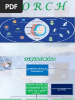 Sindrome de Torch | PDF | Virus | El embarazo