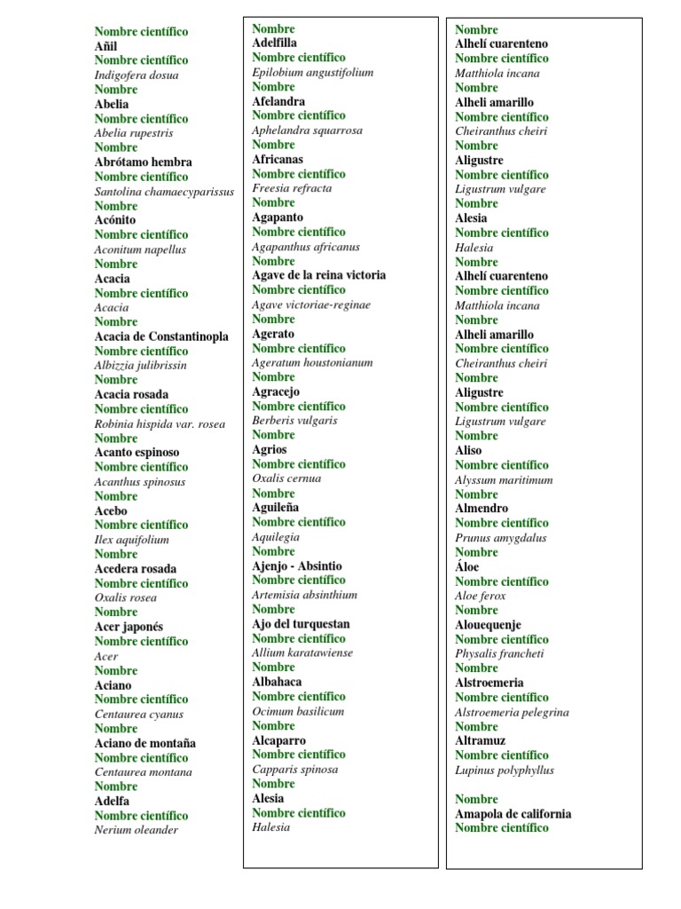 Nombres Científicos De Las Flores Orden Alfabético