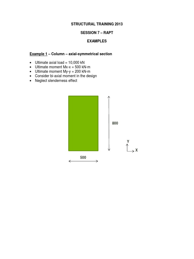 07 RAPT - Examples | PDF