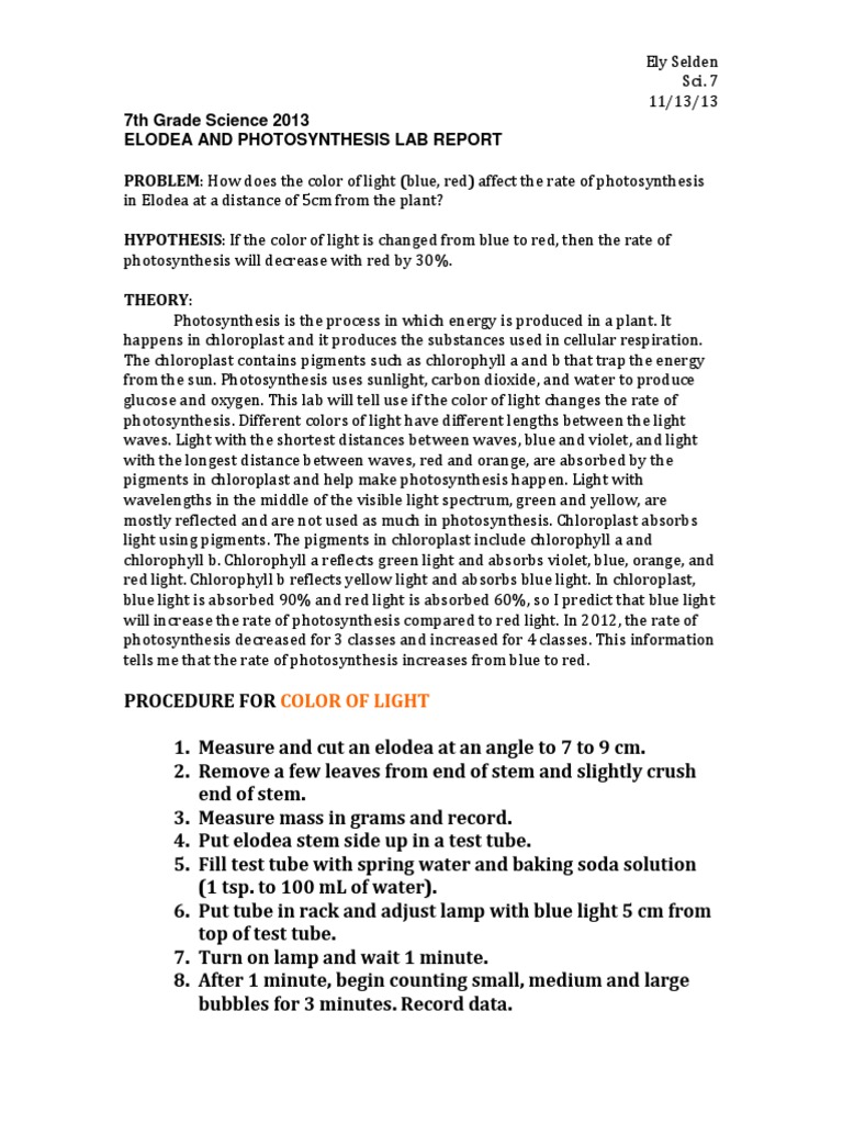 7th Grade Photosynthesis Lab | PDF | Photosynthesis | Chlorophyll