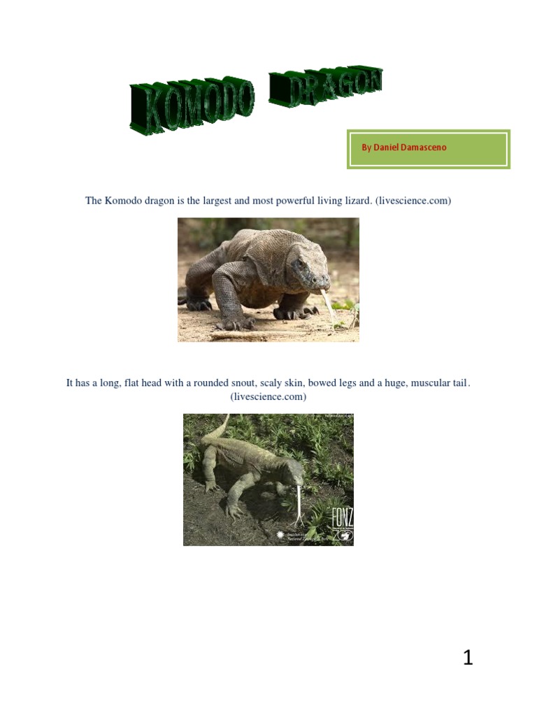 The Komodo Dragon | PDF | Science & Mathematics | Young Adult