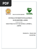 Community Work Process Report Number 1 | PDF | System | Social Work