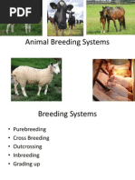 Principle of Animal Breeding | PDF | Genetics | Ploidy